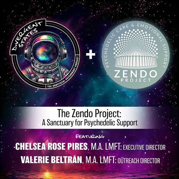 What Happens When a Trip Goes Sideways - Zendo Project